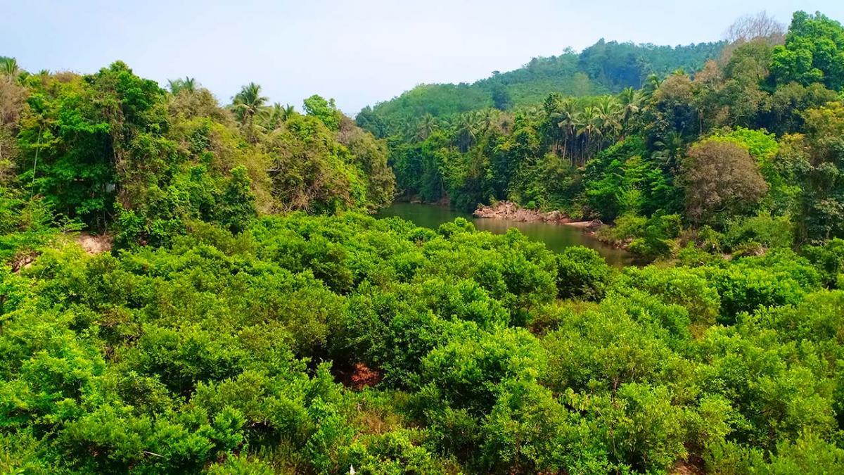 Explore the best of Janakikadu for Trekking [Updated 2021]