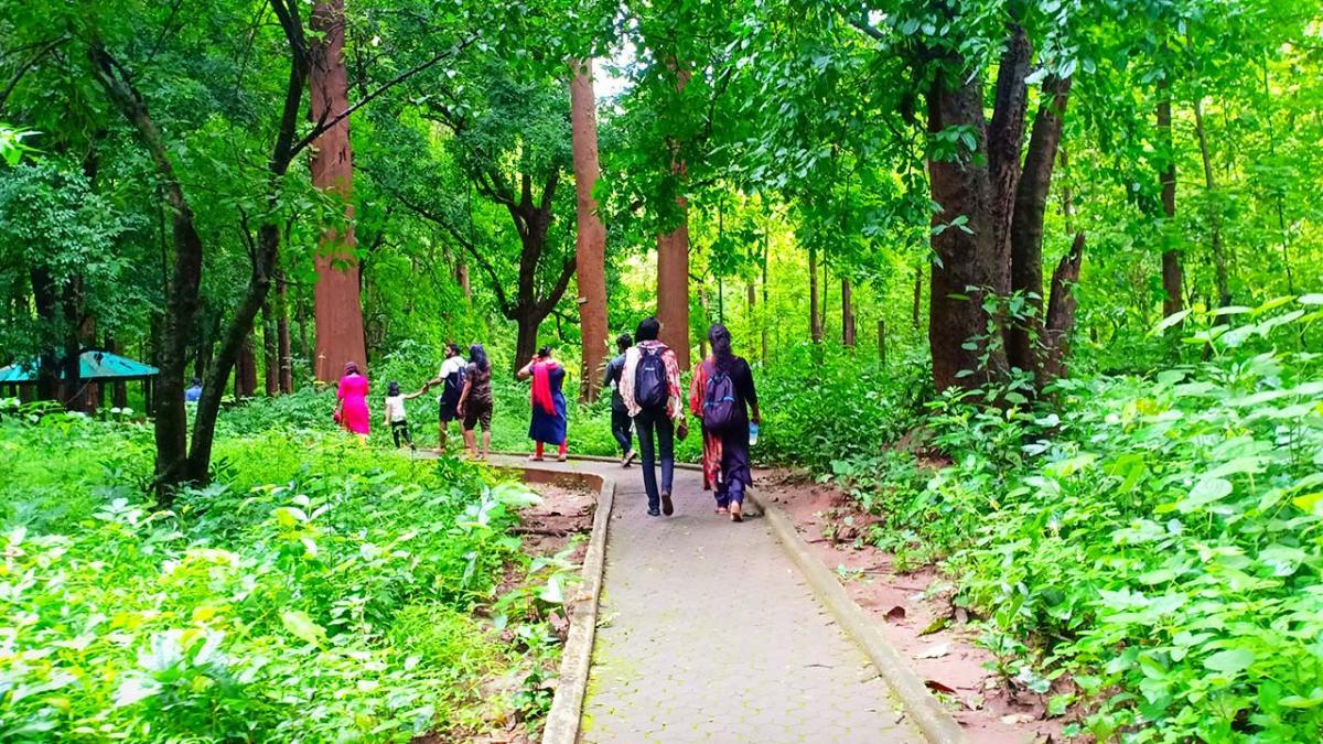 Explore the best of Nilambur for Nature camping [Updated 2021]