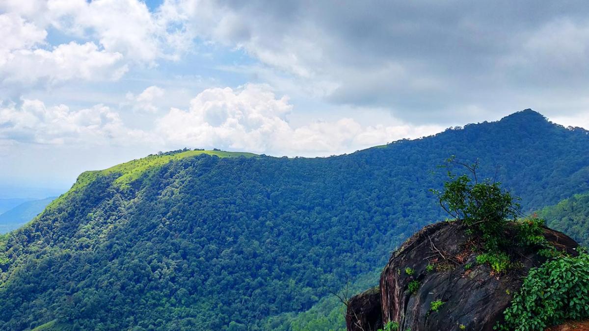 Explore the best of Paithalmala Hill Station for Trekking [Updated 2021]